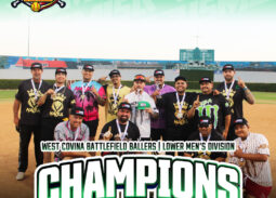 United States Major League Softball Association